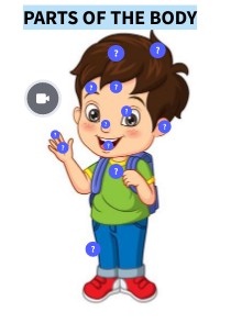 PARTS OF THE BODY | Genially