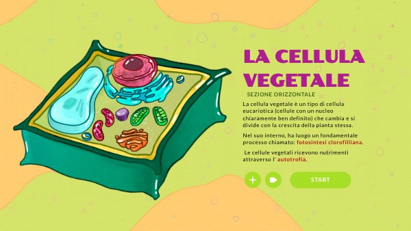 LA CELLULA VEGETALE | Genially