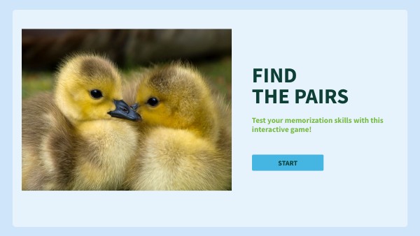FIND THE PAIRS