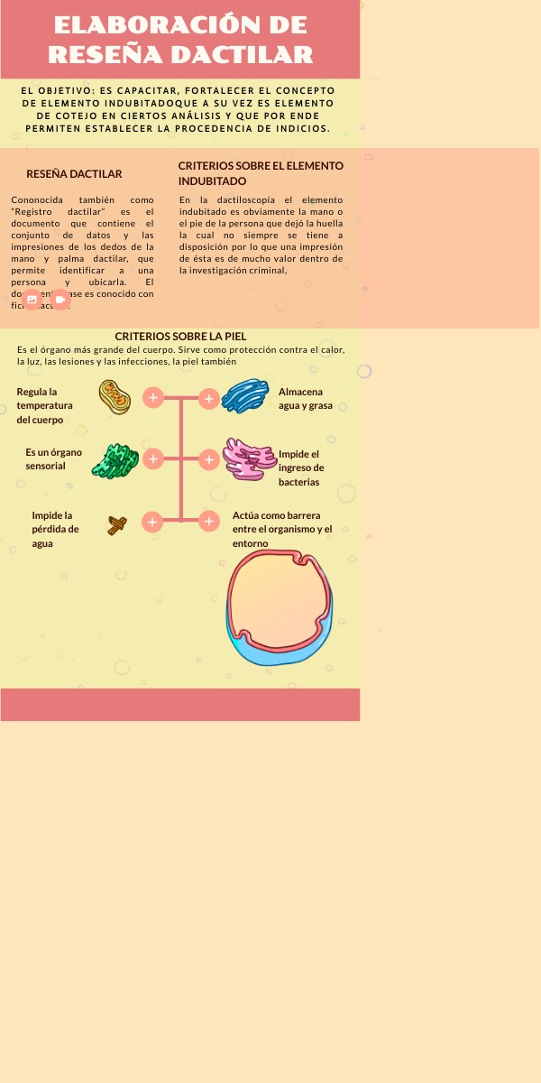 INFO VERTICAL CÉLULAS | Genially