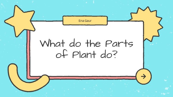 ANIMATED SKETCH PRESENTATION