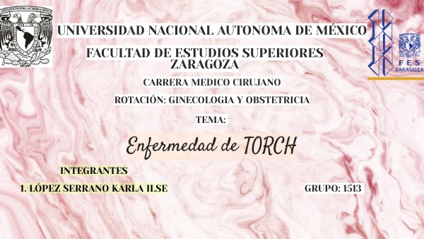 ENFERMEDAD TORCH LA BUENA | Genially