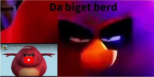 Biget berd