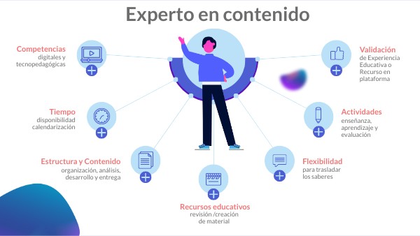 EXPERTO EN CONTENIDO