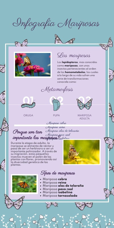 INFO VERTICAL MARIPOSAS