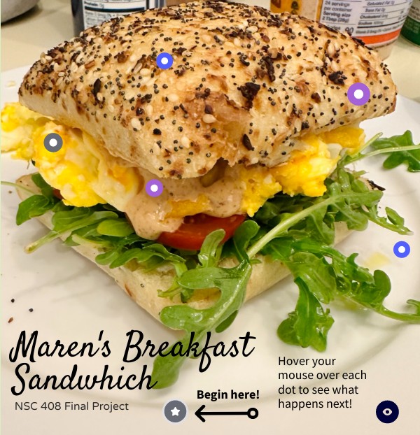 NSC 408 Final Project (draft)