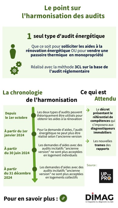 infographie audit courte | Genially