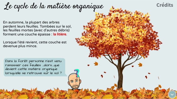 Séquence 4 -4.2- 3eme. Le cycle de la matière organique(caract du cyc) | Genially