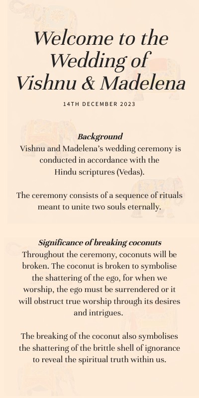 V&M's Wedding Rituals Infographic | Genially