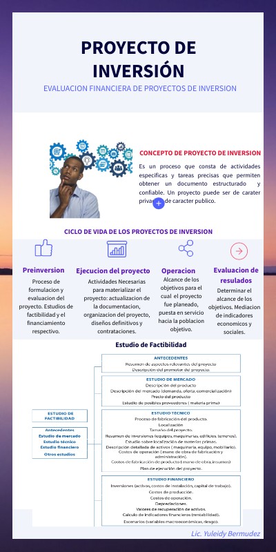 INFOGRAFIA PROYECTO DE INVERSION | Genially