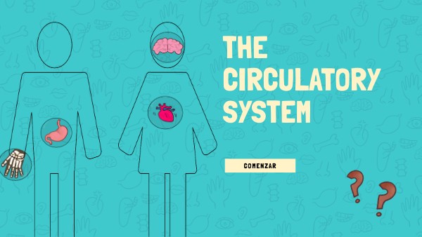 Circulatory System | Genially