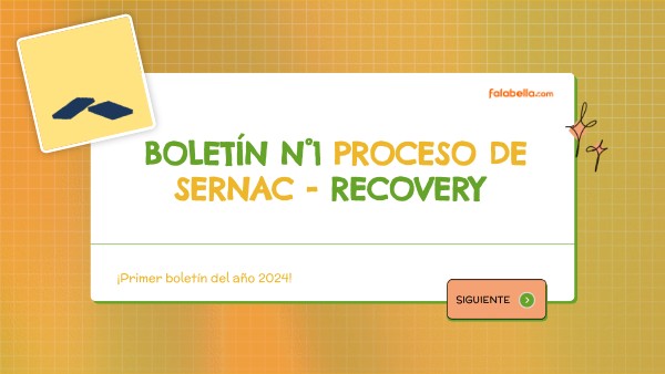 Boletín n°1 recovery