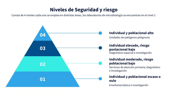 DIAGRAMA TRIÁNGULO