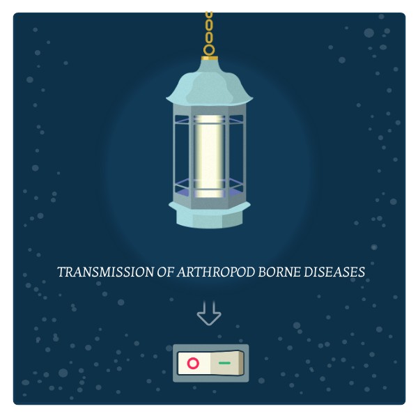 transmission of arthropod borne diseases | Genially