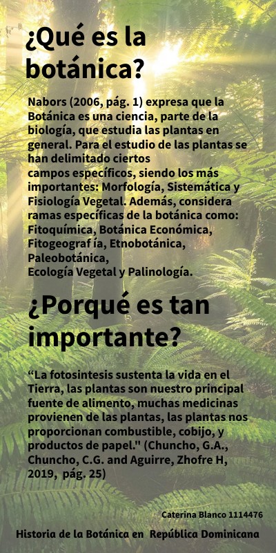 INTERACTIVE TREE | Genially