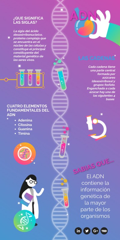TIMELINE BIOLOGÍA VIBRANT | Genially