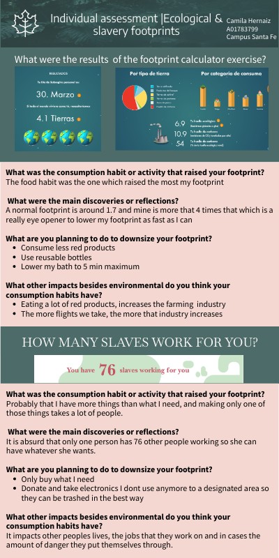 Individual assessment | Ecological & slavery footprints