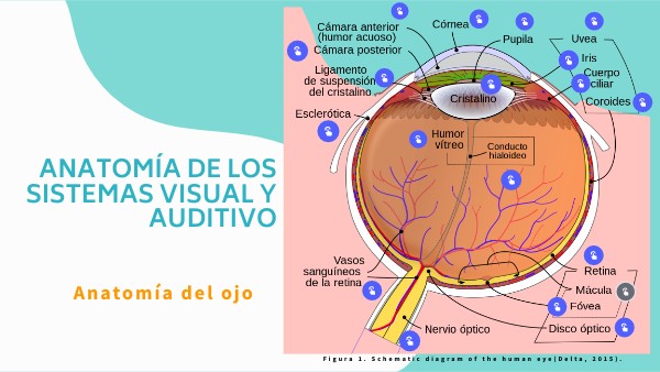 JULIA ISABEL GUTIÉRREZ MORALES | Genially