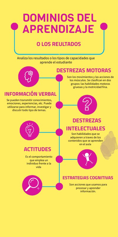 Dominios del aprendizaje