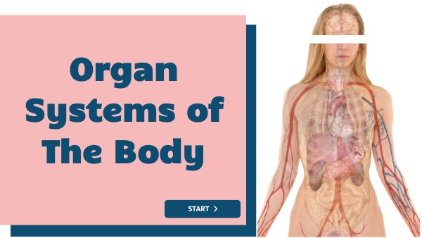 Organ Systems of the Body