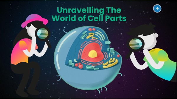 Barrientos First Genially