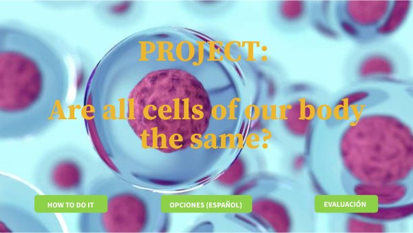 PROJECT TYPE OF CELLS