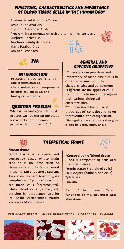 INFO VERTICAL ADN | Genially