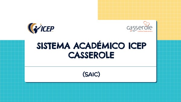 SAIC ICEP CASSEROLE