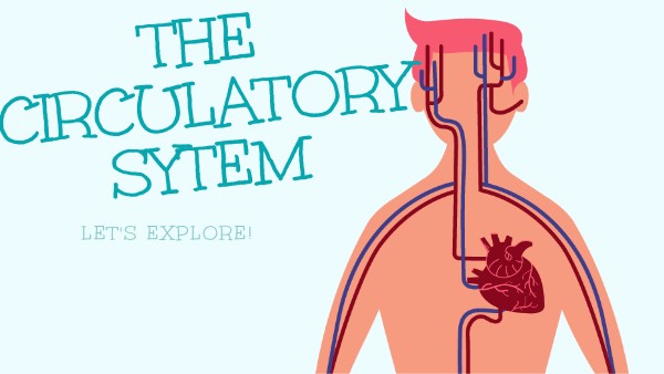 CIRCULATORY SYSTEM | Genially