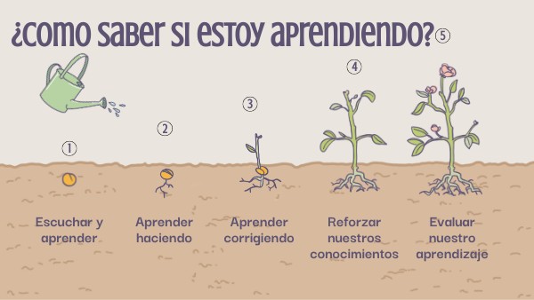 Como saber si estoy aprendiendo