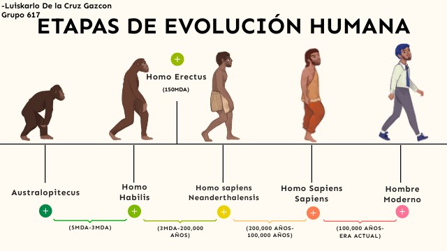 ETAPAS DE EVOLUCIÓN HUMANA | Genially