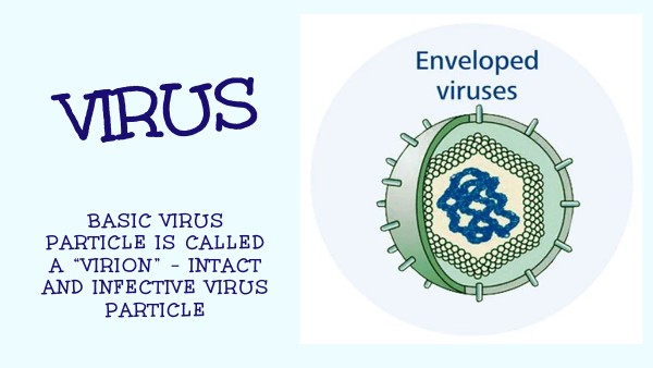 VIRUS