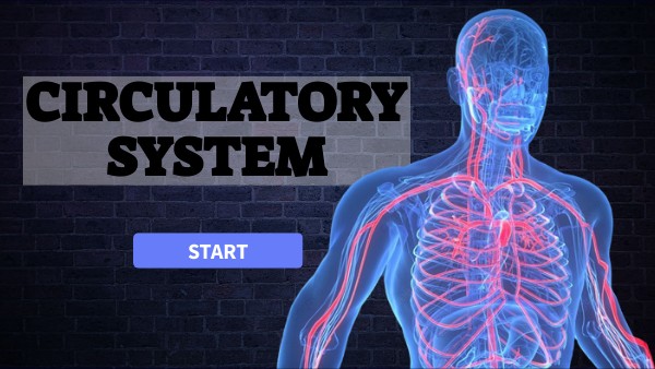 CIRCULATORY SYSTEM | Genially