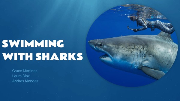 Swimming with sharks | Genially