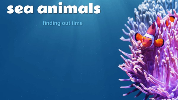 sea animals | Genially