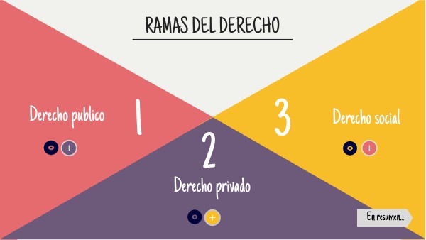 RAMAS DE DERECHO