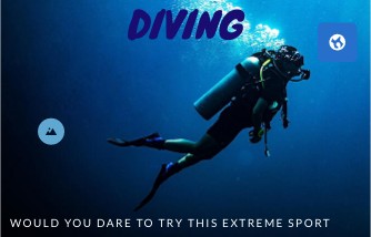 Interactive image Diving
