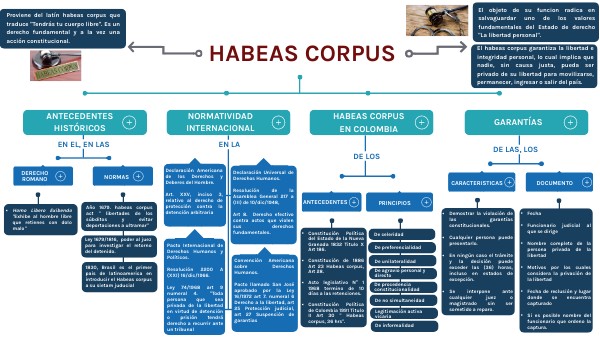MAPA CONCEPTUAL HABEAS CORPUS | Genially