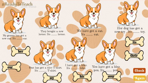 Corgi (possessive adj.)