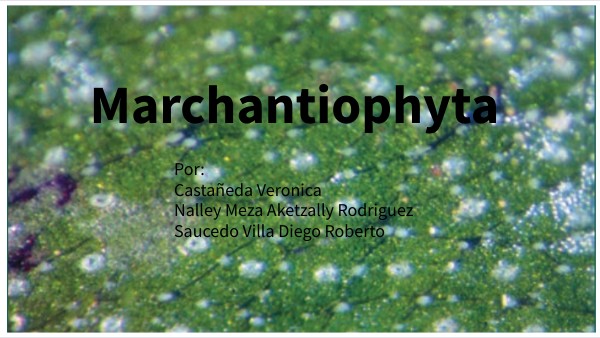 Marchantiophyta | Genially