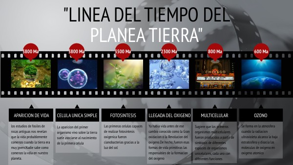 Linea del tiempo