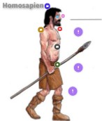 El homosapien y sus caracteristicas