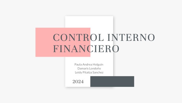 Control interno financiero