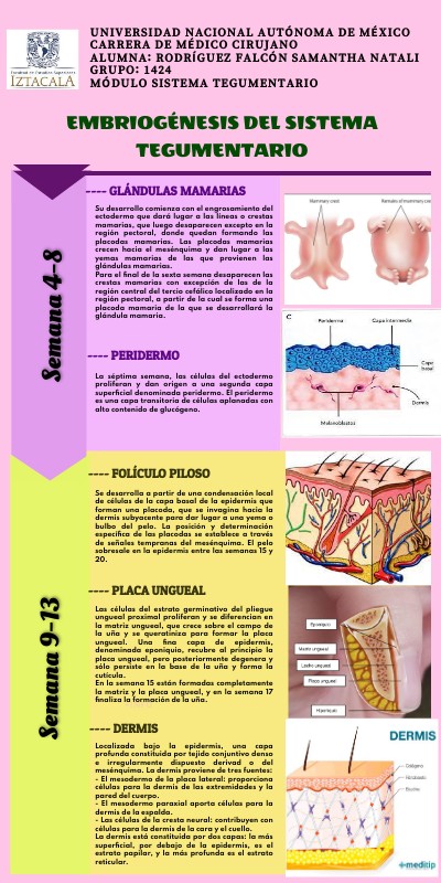 RODRIGUEZ FALCON SAMANTHA NATALI TAREA 1