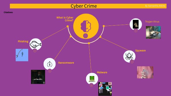 Cyber Crime