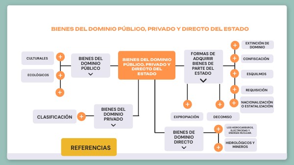 BIENES DEL DOMINIO PÚBLICO, PRIVADO Y DIRECTO DEL ESTADO. | Genially
