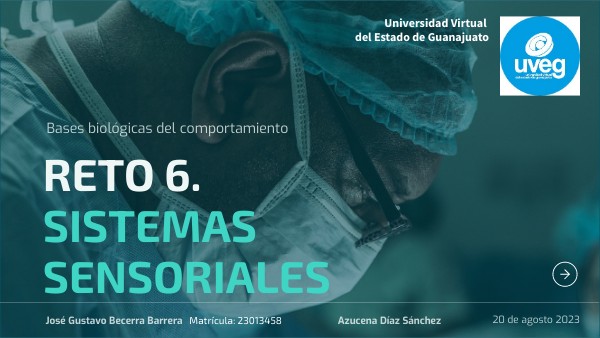 Reto 6. Sistemas sensoriales | Genially