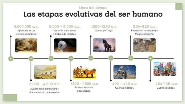 Las etapas evolutivas del ser humano | Genially