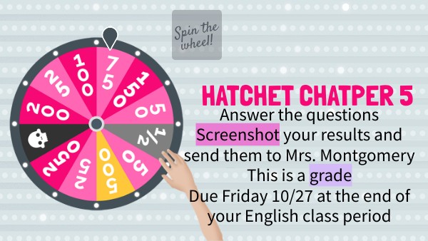 Hatchet Chapter 5 Questions