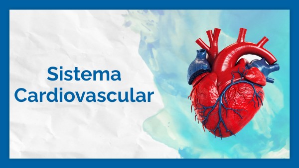Sistema cardiovascular | Genially